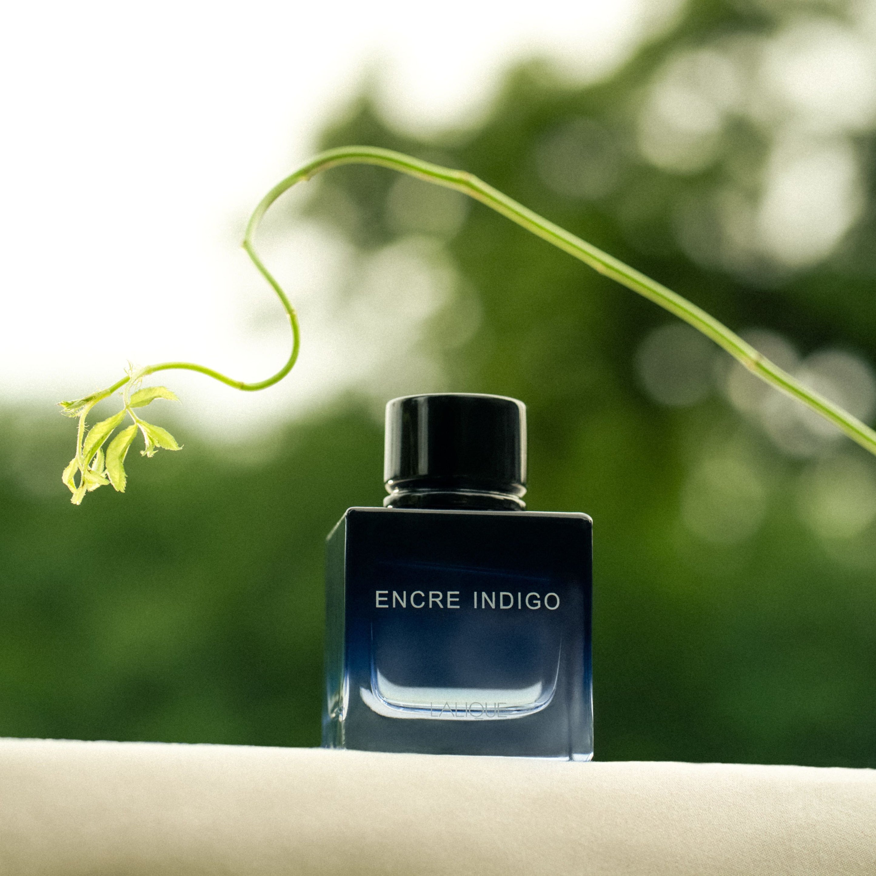 Encre Indigo, Eau de Parfum – Lalique France